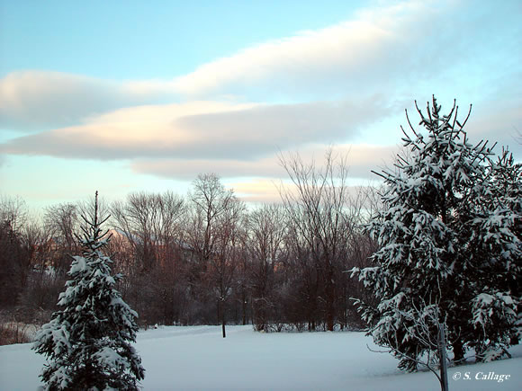 Cloud Scapes / Winter Clouds
